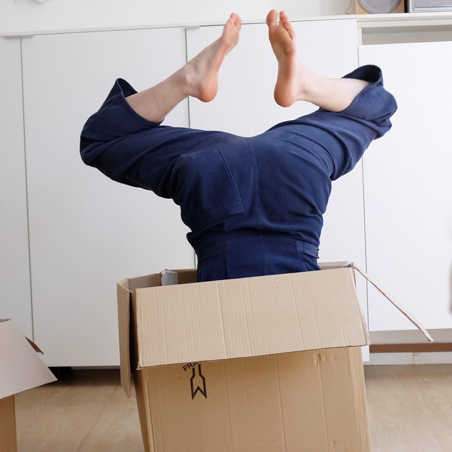 Mon Carton / My Cardboard Box - Philadelphia Fringe Festival